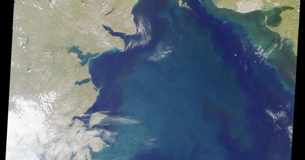 Bering Strait: Navigation and Conservation in Times of Conflict ...